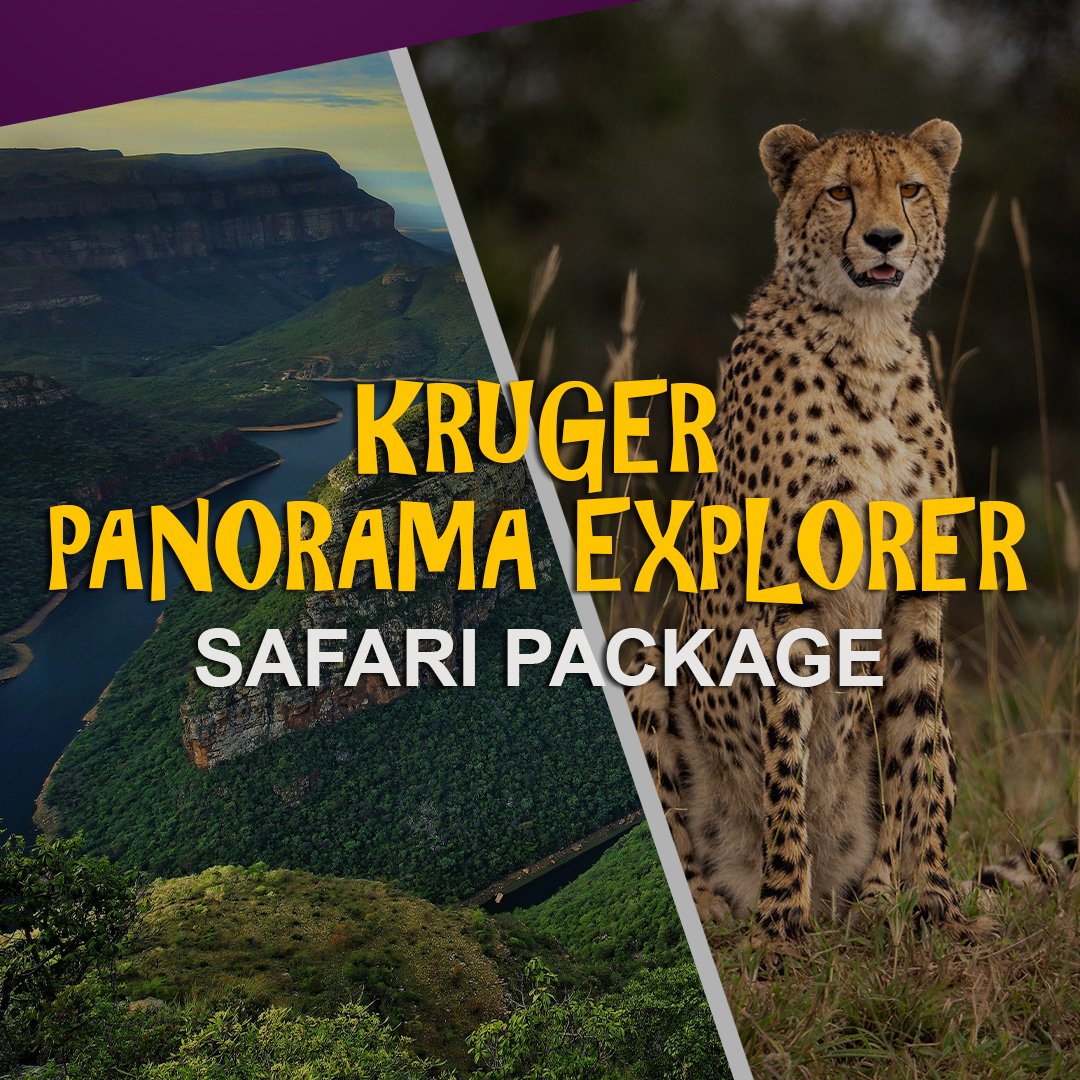 SleepOver International