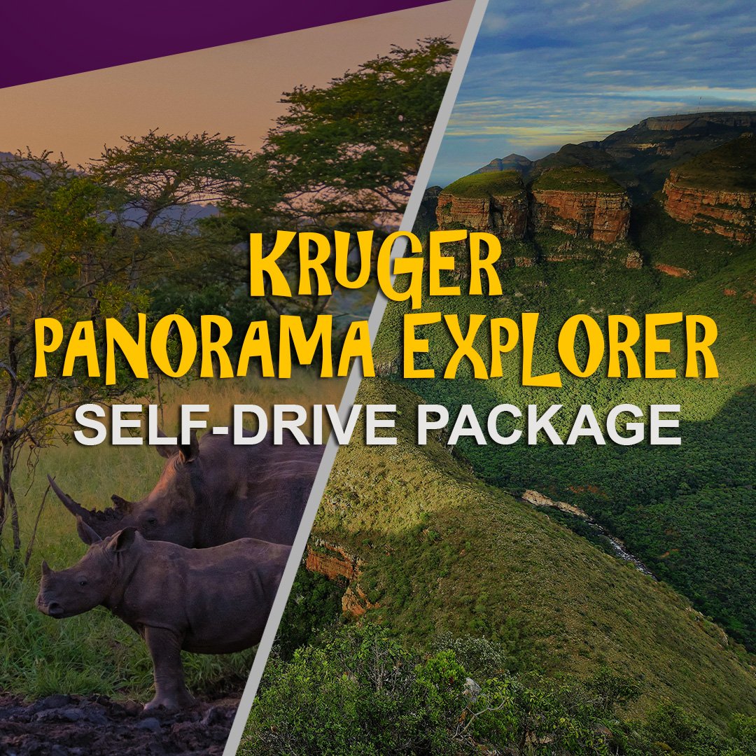 SleepOver International